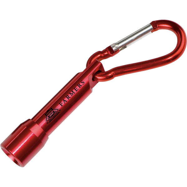 Small Carabiner with Flashlight | Deluxe