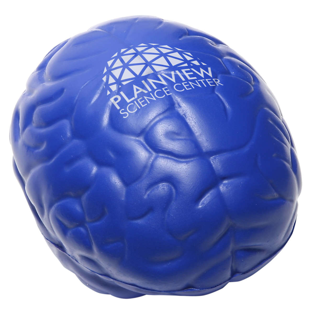 Order Custom Brain Stress Ball Online