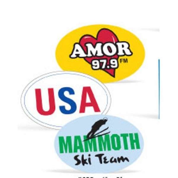 Ultra Removable Oval Bumper Sticker - 4" x 6" | Deluxe